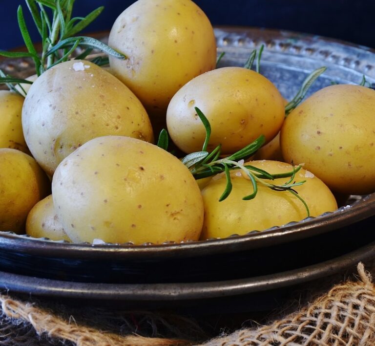 Vittia - Insumos e Tecnologia para Agricultura